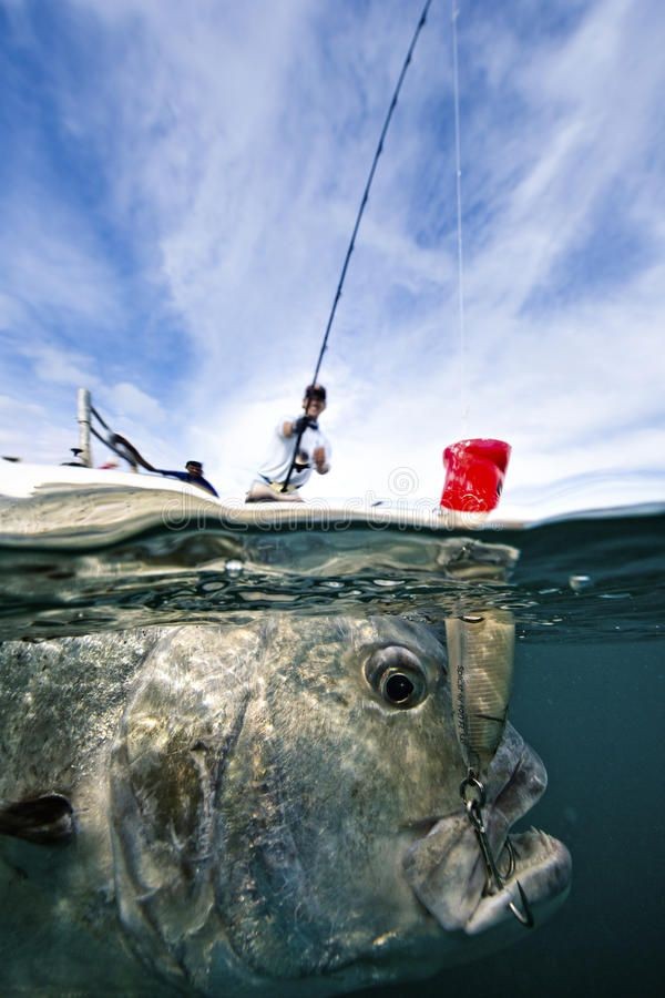 Lures – Big kahuna fishing gear